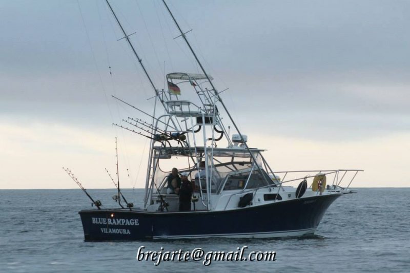 Barcos MT – Zona Algarve