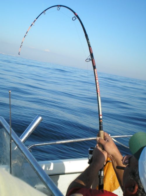 As Canas de Pesca